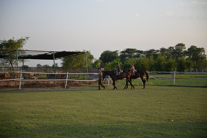 Horse Riding - Country Club - Zacky Farms