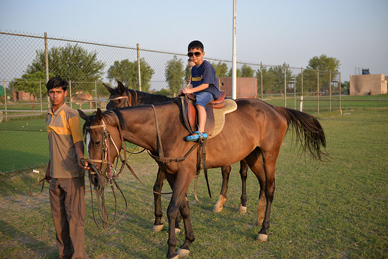 Horse Riding - Country Club - Zacky Farms