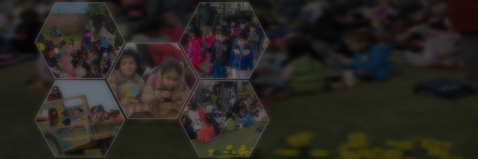 Tours - Country Club - Zacky Farms